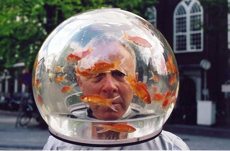 Staller-E — CITYarts