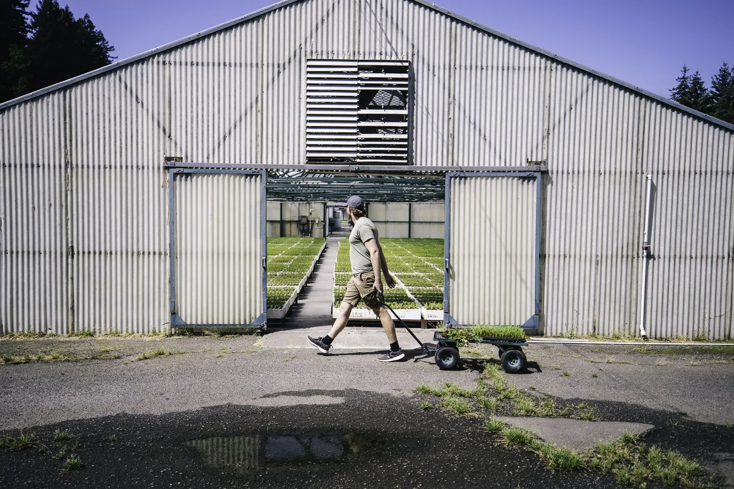 Films — Andy Cochrane