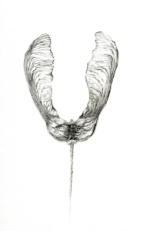 Marie Foley Marie Foley