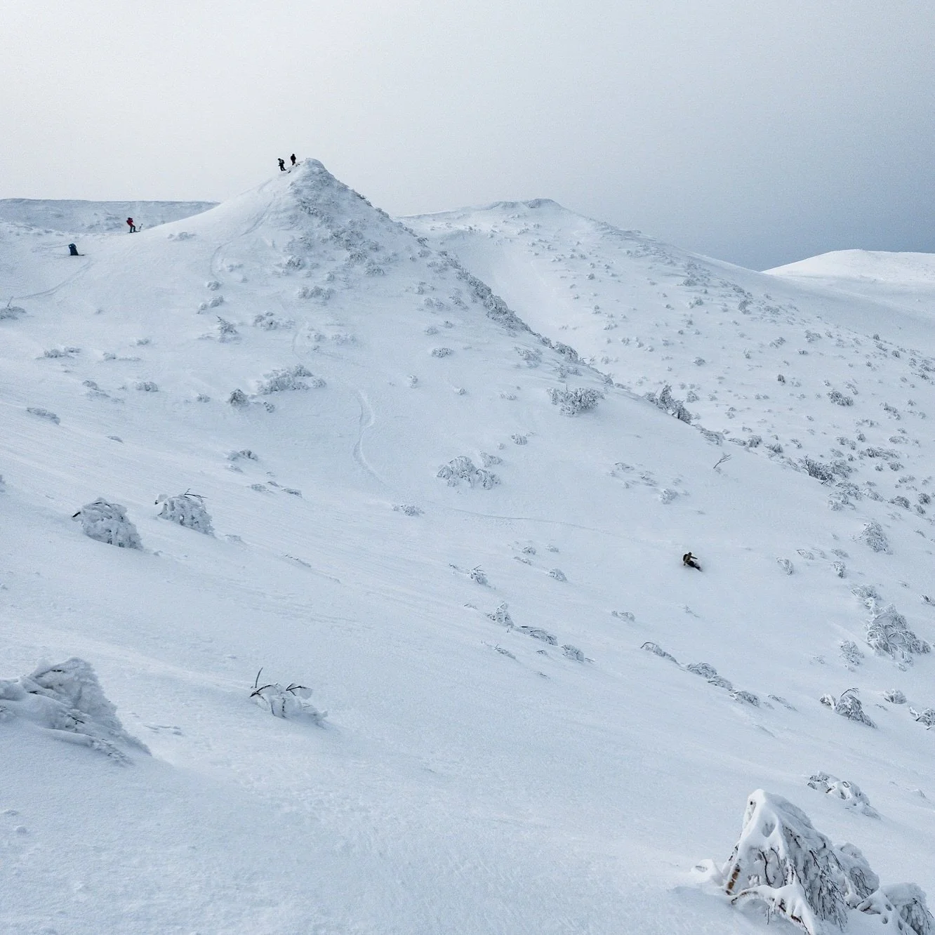 HOME — IWANAI RESORT