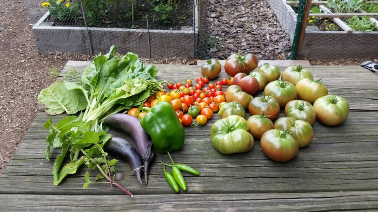 Projects — Sustainable Jersey City