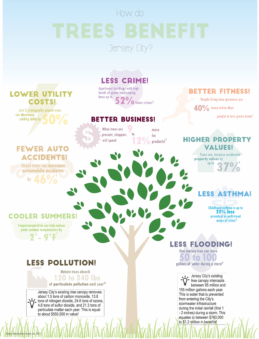 Green Infrastructure / Trees, Rain Gardens & More Green Roofs ...