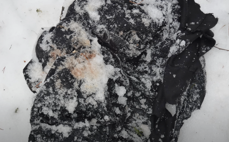 The Baffling Death Of Jordan Grider in the Boundary Waters Canoe Area ...