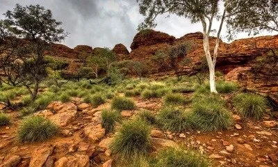 The shocking story of Australia’s vanishing bushwalkers ...