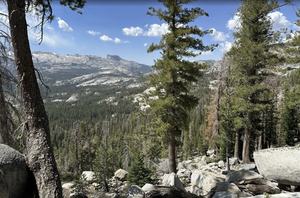 The bizarre disappearance of Stacey Arras from Yosemite National Park ...