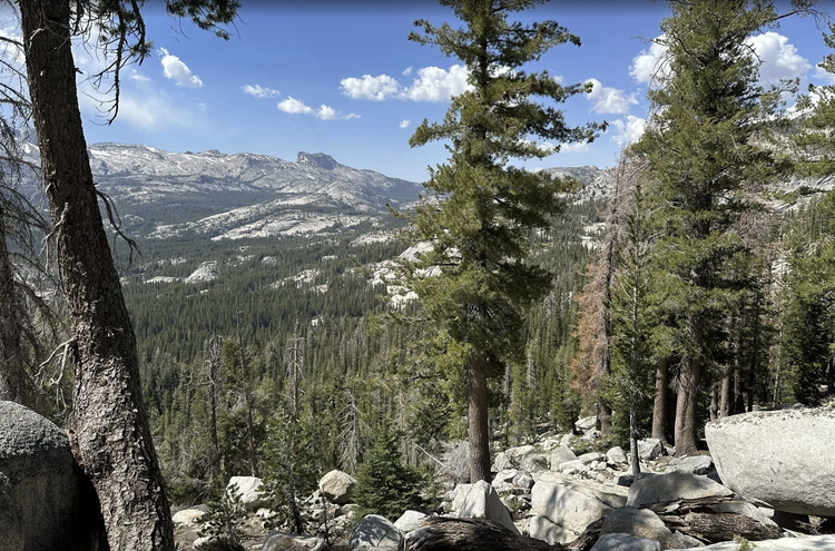 The bizarre disappearance of Stacey Arras from Yosemite National Park ...