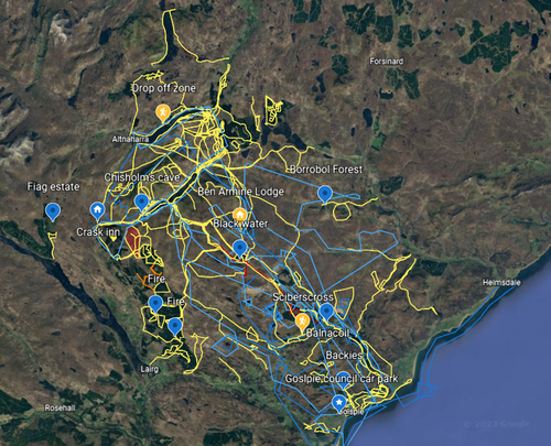 The strange disappearance of the YouTube Survivalist Finn Creaney in ...