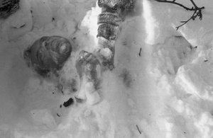 The mysterious story of the Dyatlov Pass Incident in Russia's Ural ...