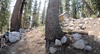 The bizarre disappearance of Stacey Arras from Yosemite National Park ...