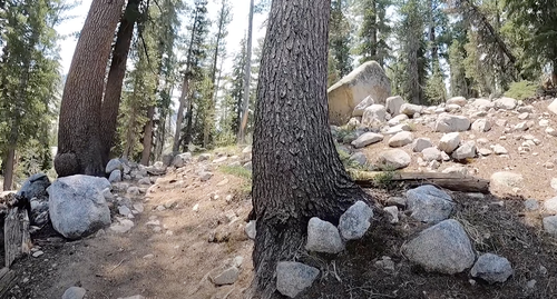 The bizarre disappearance of Stacey Arras from Yosemite National Park ...