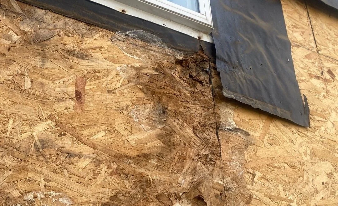 7 Lessons About Exterior Rot Repairs In Siding Renos — Blue Jay Exterior Renovations