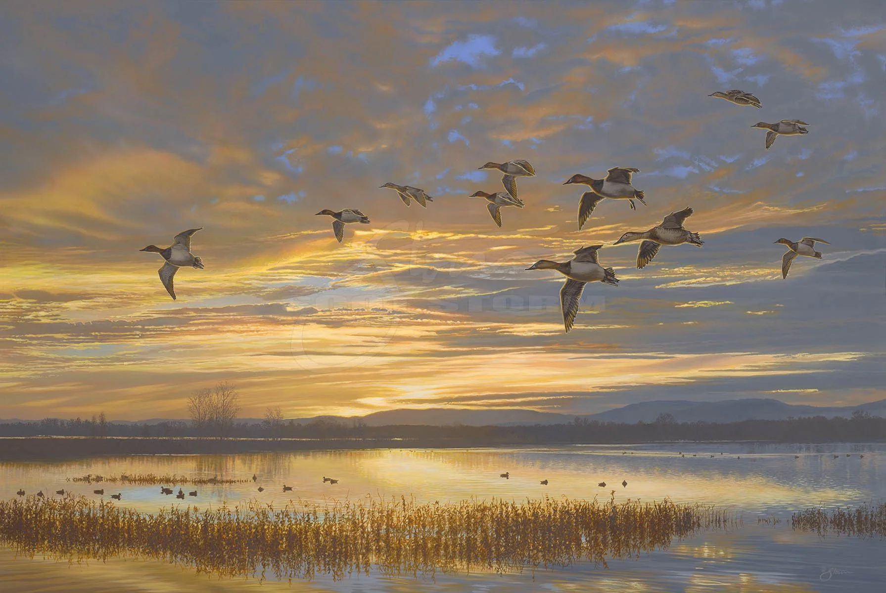 Riding the Sunset — Scot Storm Wildlife Art
