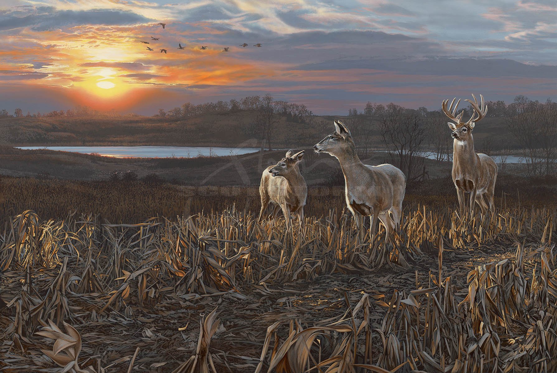 Available Originals — Scot Storm Wildlife Art