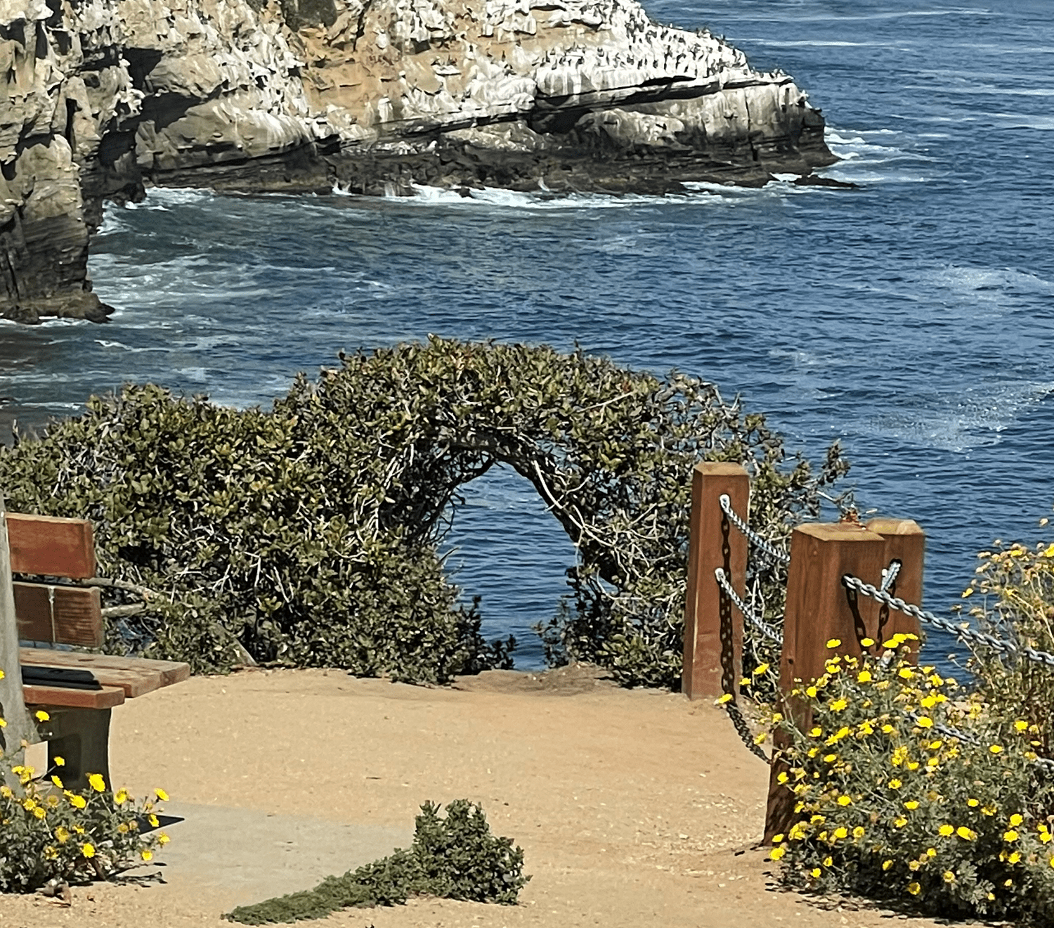 Kumeyaay History — Friends of Coast Walk Trail