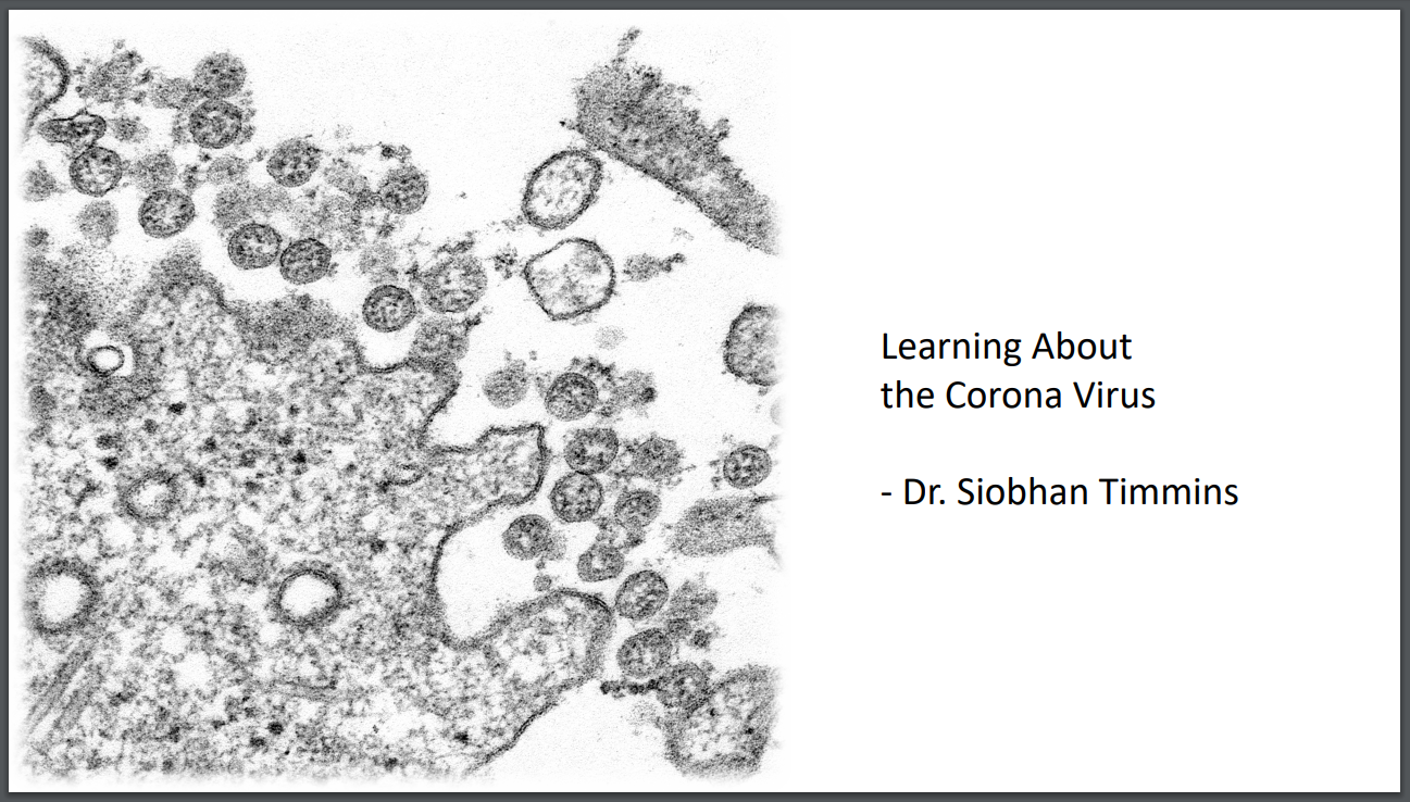 Friends & Supporters — ShoeboxTasks