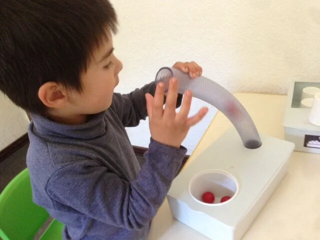 Shoebox Tasks - TEACCH Task Boxes, Autism Independent Work Tasks