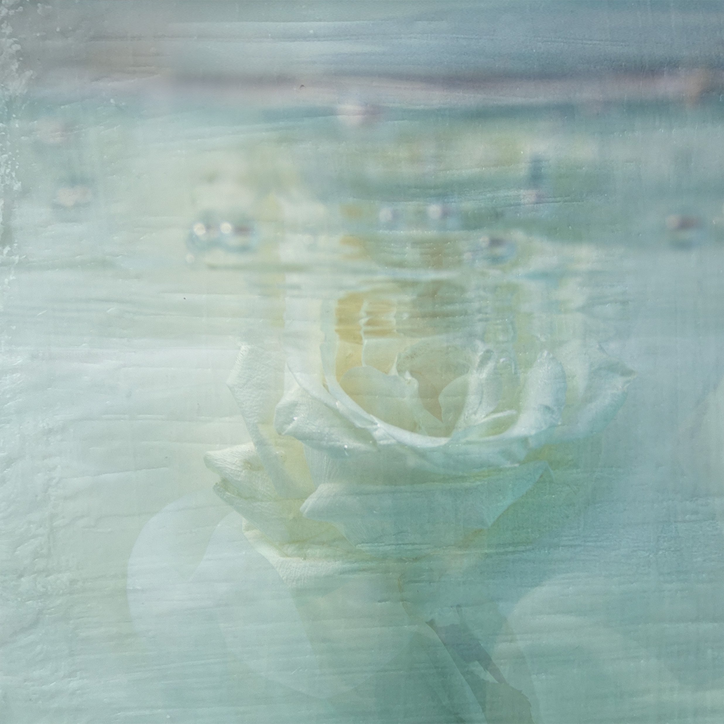 Susan J Roche artist