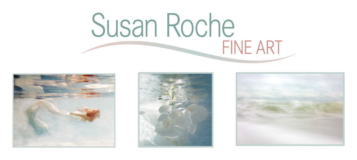 Susan J Roche artist