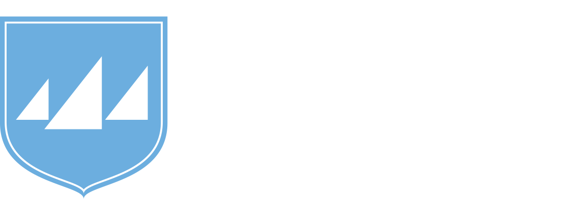 Leman Manhattan — Insurgents