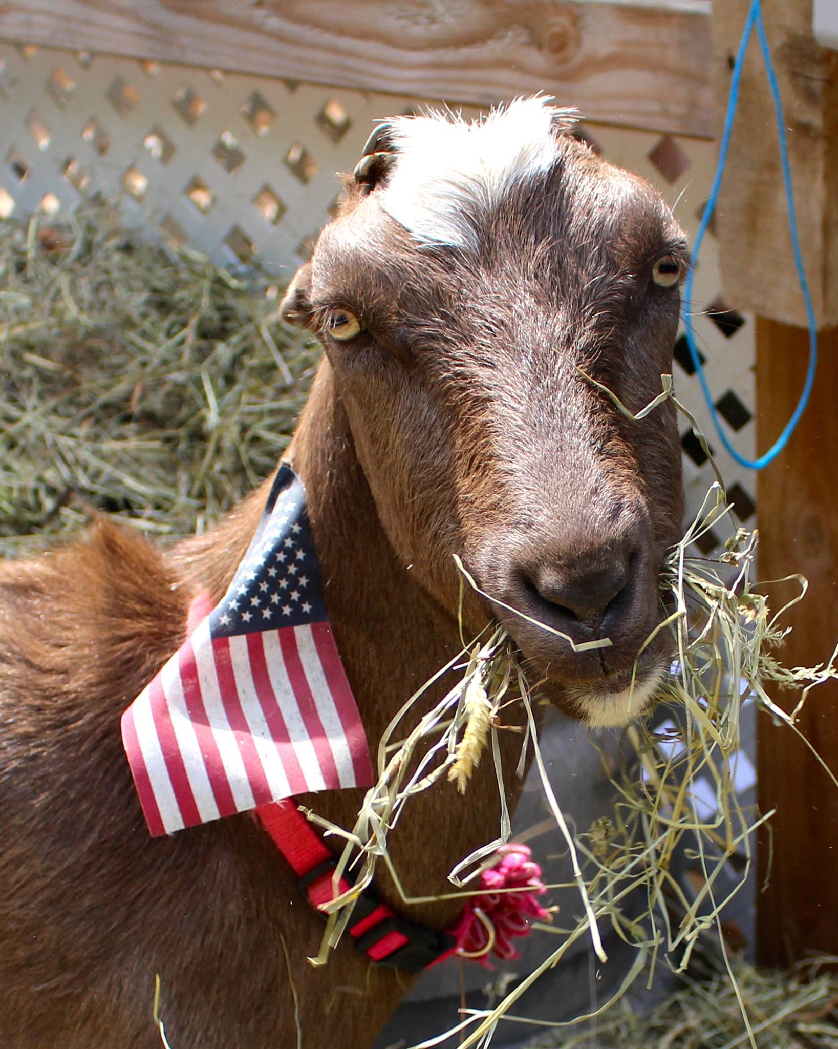 Mission — TevaLand