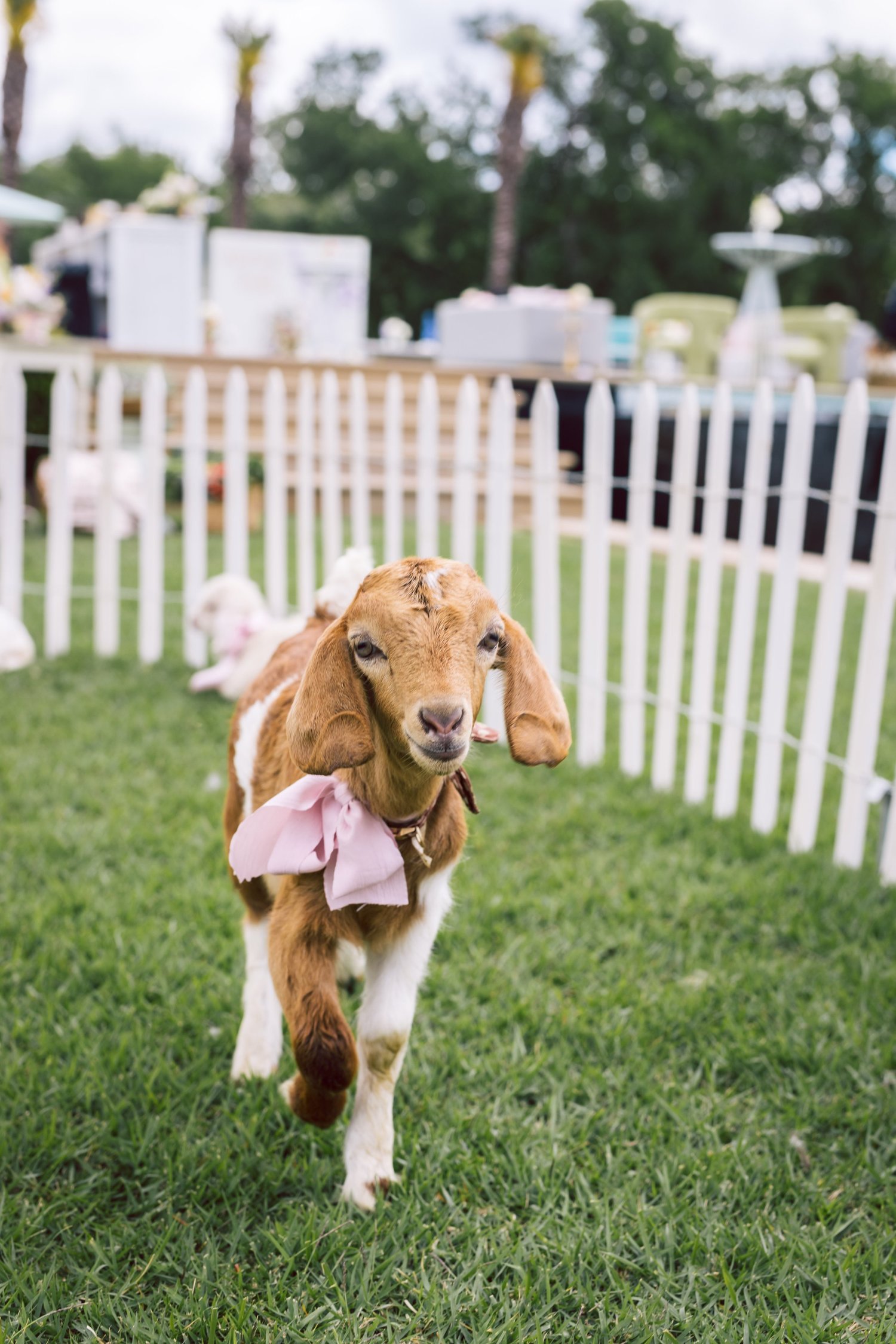 Activity Ideas for an Entertaining Easter Celebration — Mint Events ...