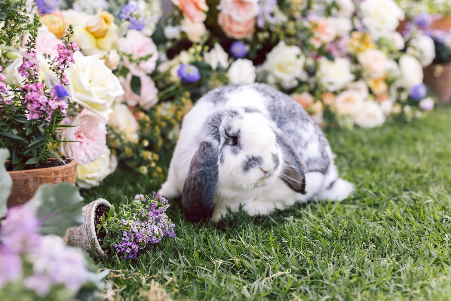 Activity Ideas for an Entertaining Easter Celebration — Mint Events ...
