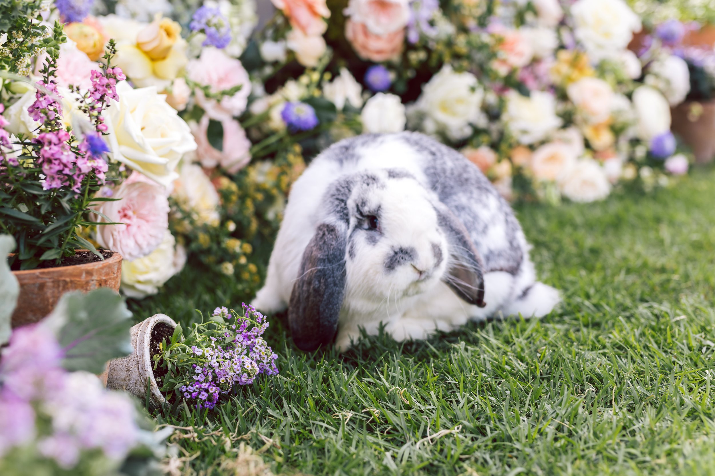 Activity Ideas for an Entertaining Easter Celebration — Mint Events ...