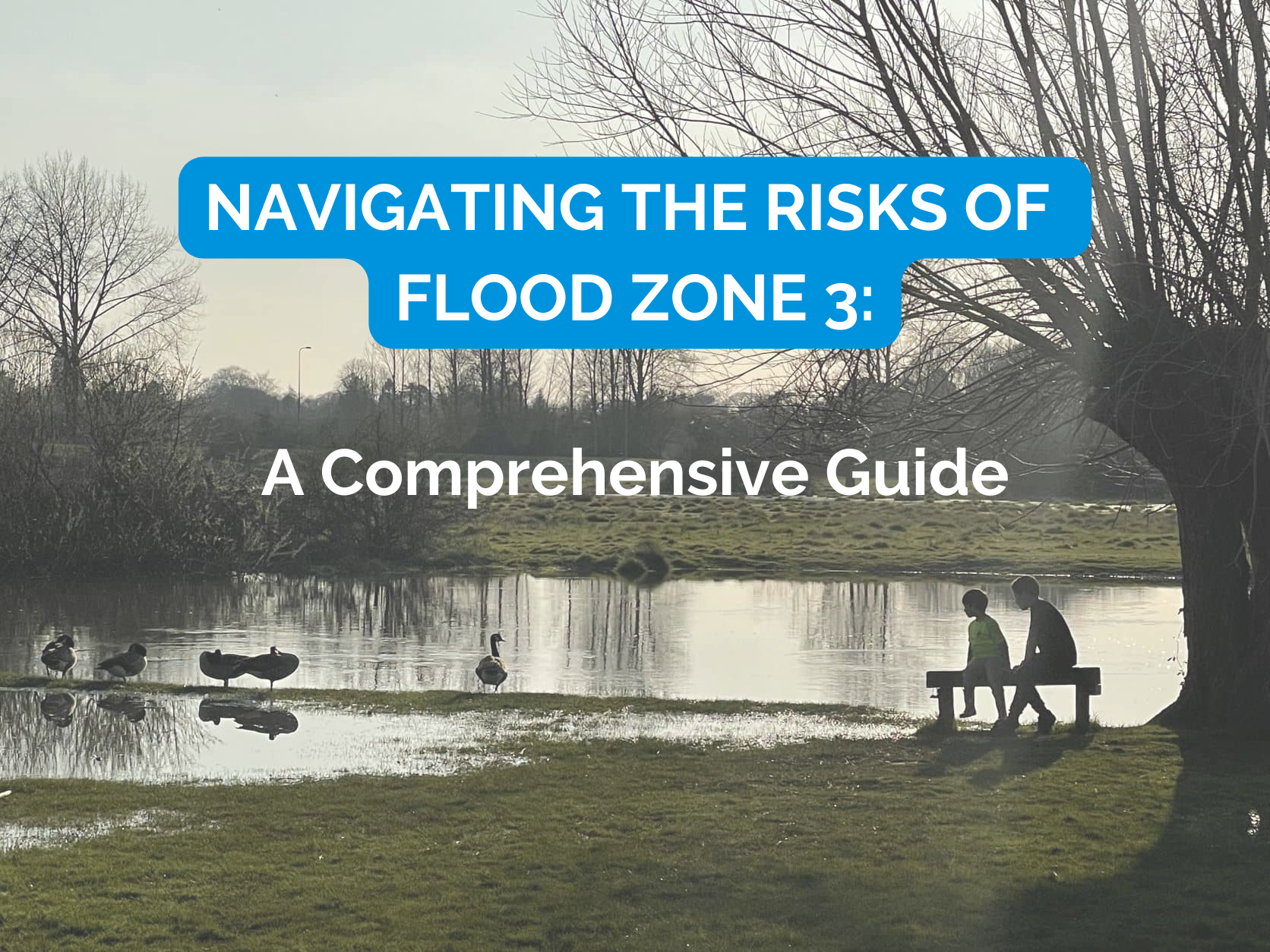Expert Guidance in Flood Planning and Flood Zone Mapping-RIDA reports
