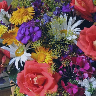 Lilli Pilli Florist