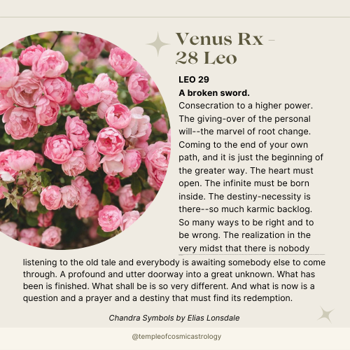 Venus Retrograde in Leo - Hearts on Fire ️‍🔥 — Temple of Cosmic Astrology