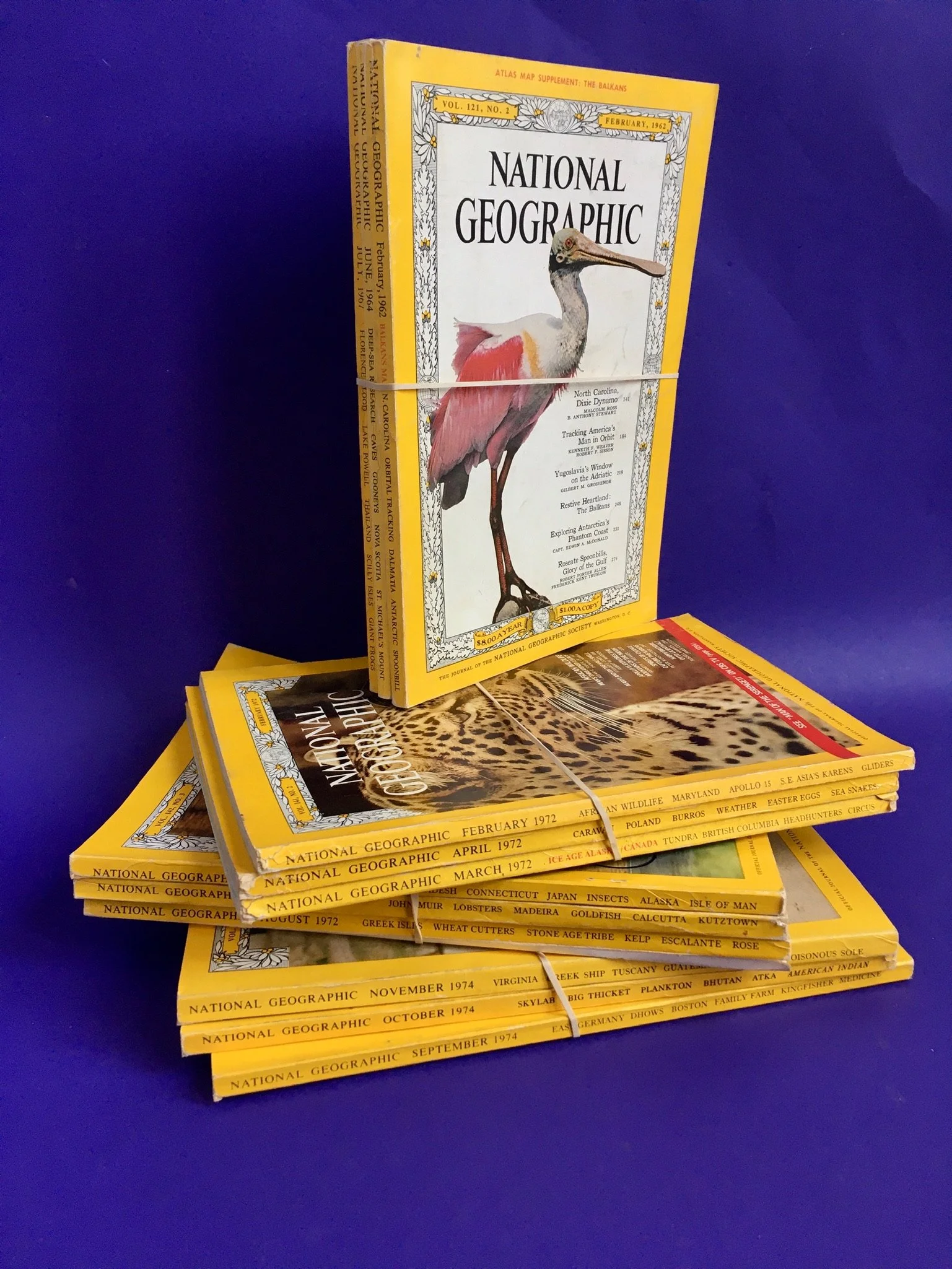 Books + Picture Frames — Indigo Hippo