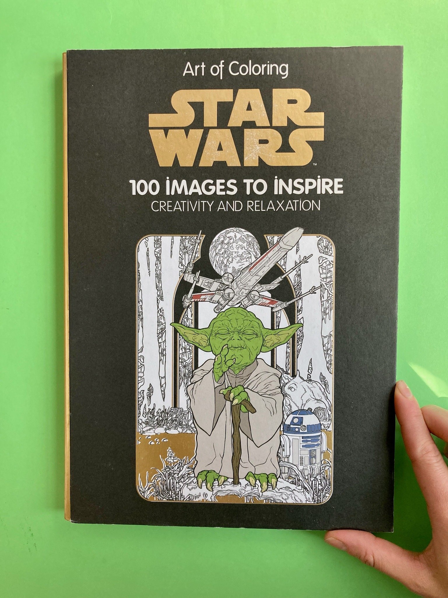 3D Coloring Book — Indigo Hippo