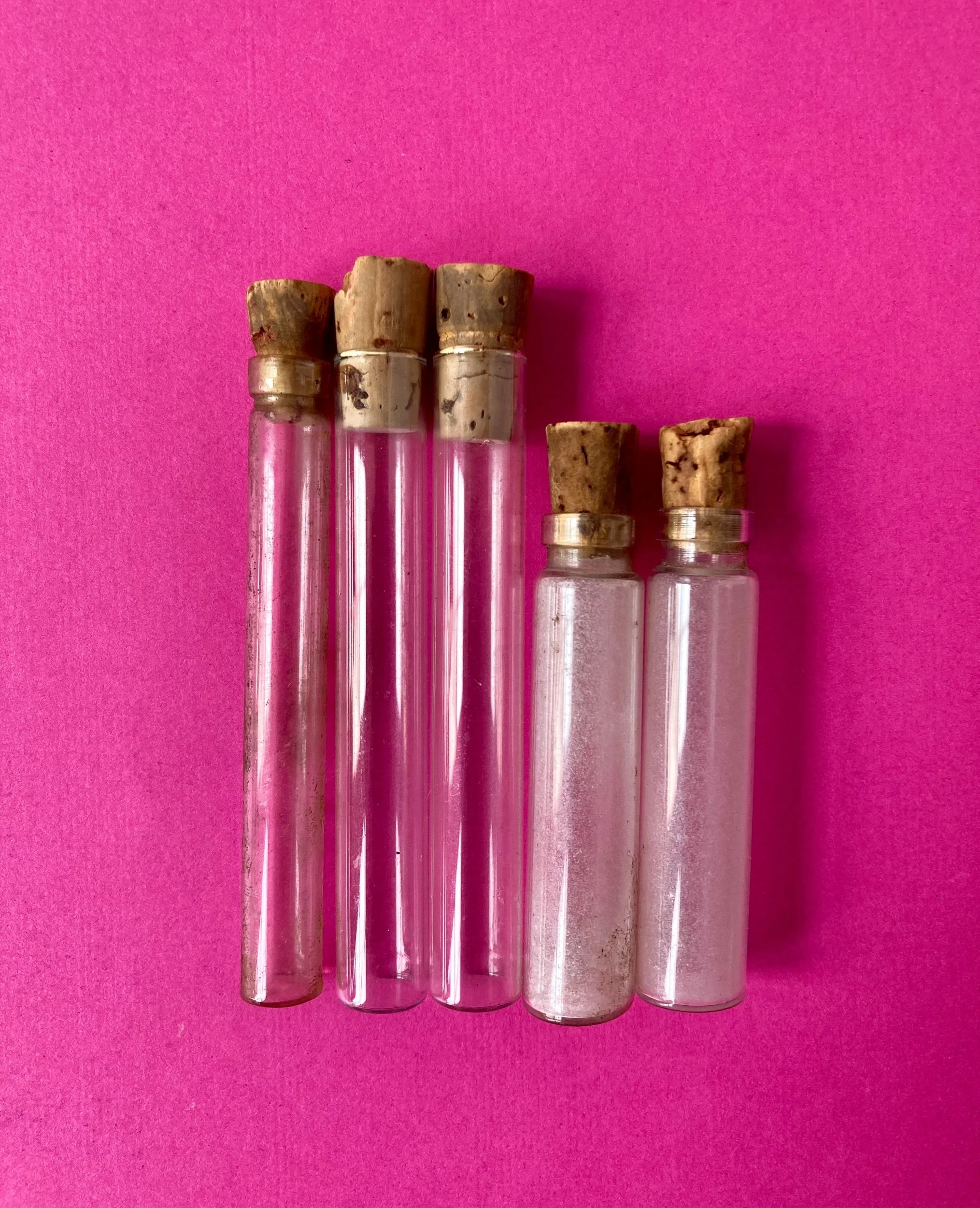 Floral + Containers — INDIGO HIPPO