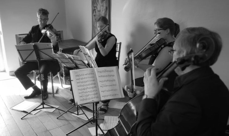 String quartets for weddings and events — Music Students For Hire