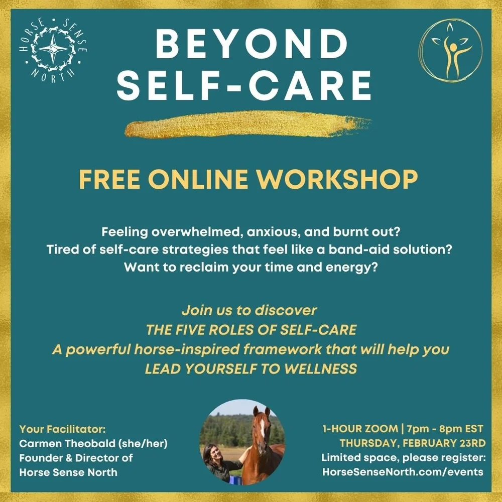 FREE ONLINE WORKSHOP - Beyond Self-Care — Horse Sense North