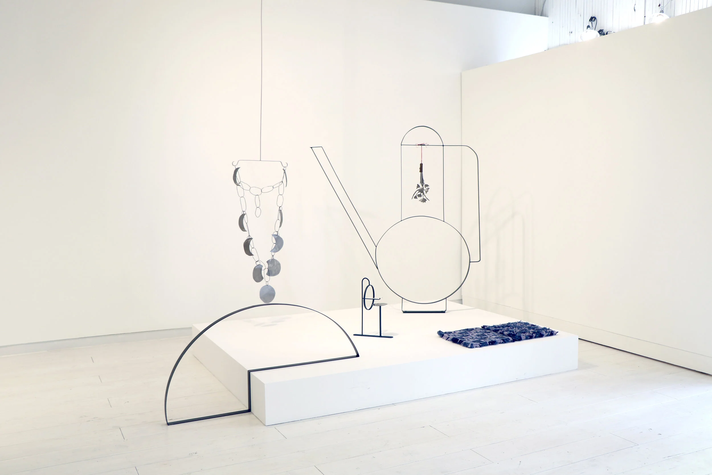 Vanessa Brown-Marianne | Some Spontaneous Particulars | Access Gallery