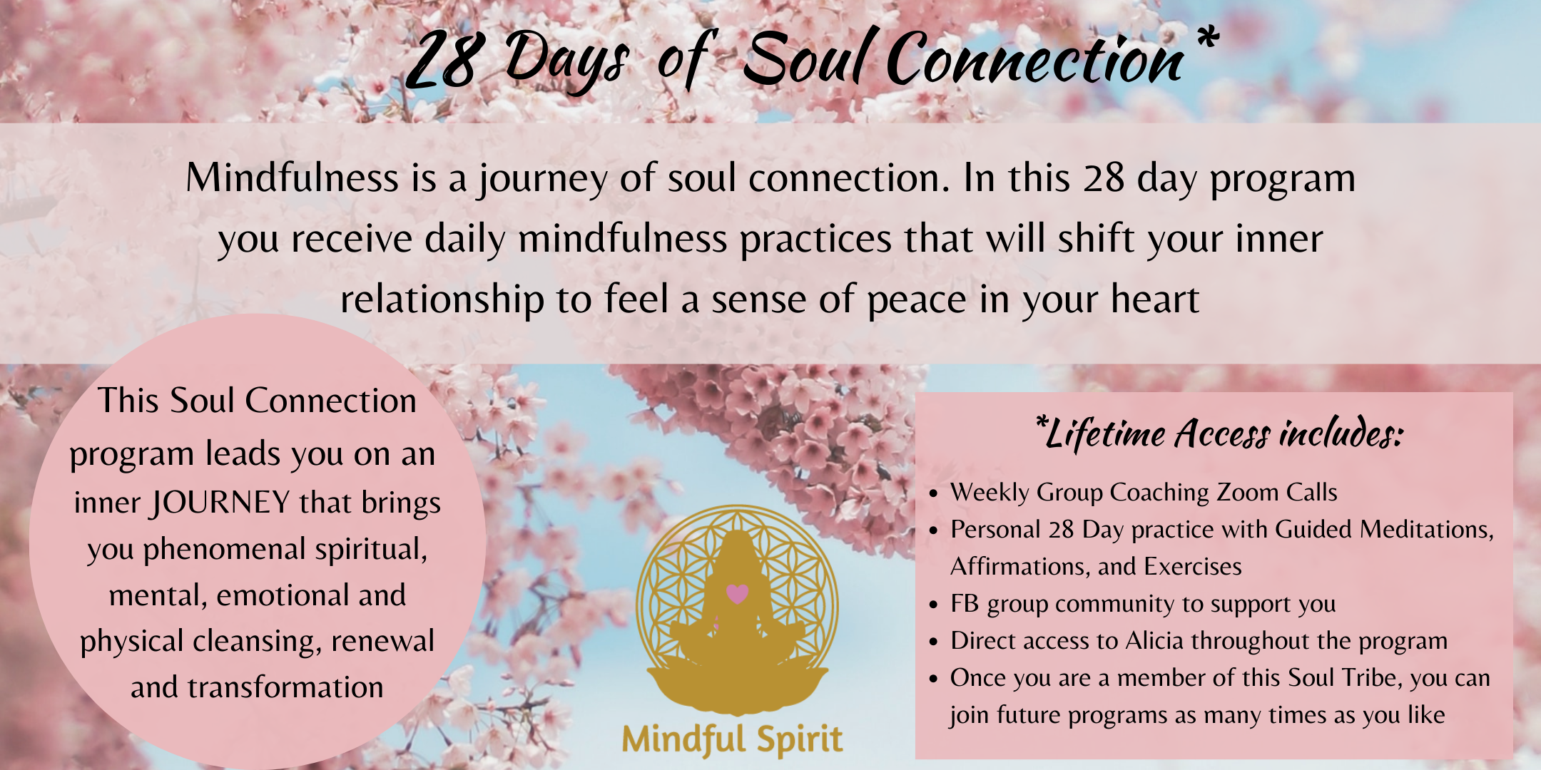 Soul Coaching ® 28 Day Program — ALICIA LOVE