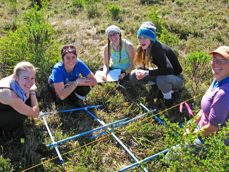 Chile Field Studies: Patagonia Ecosystems — Wildlands Studies | Field ...