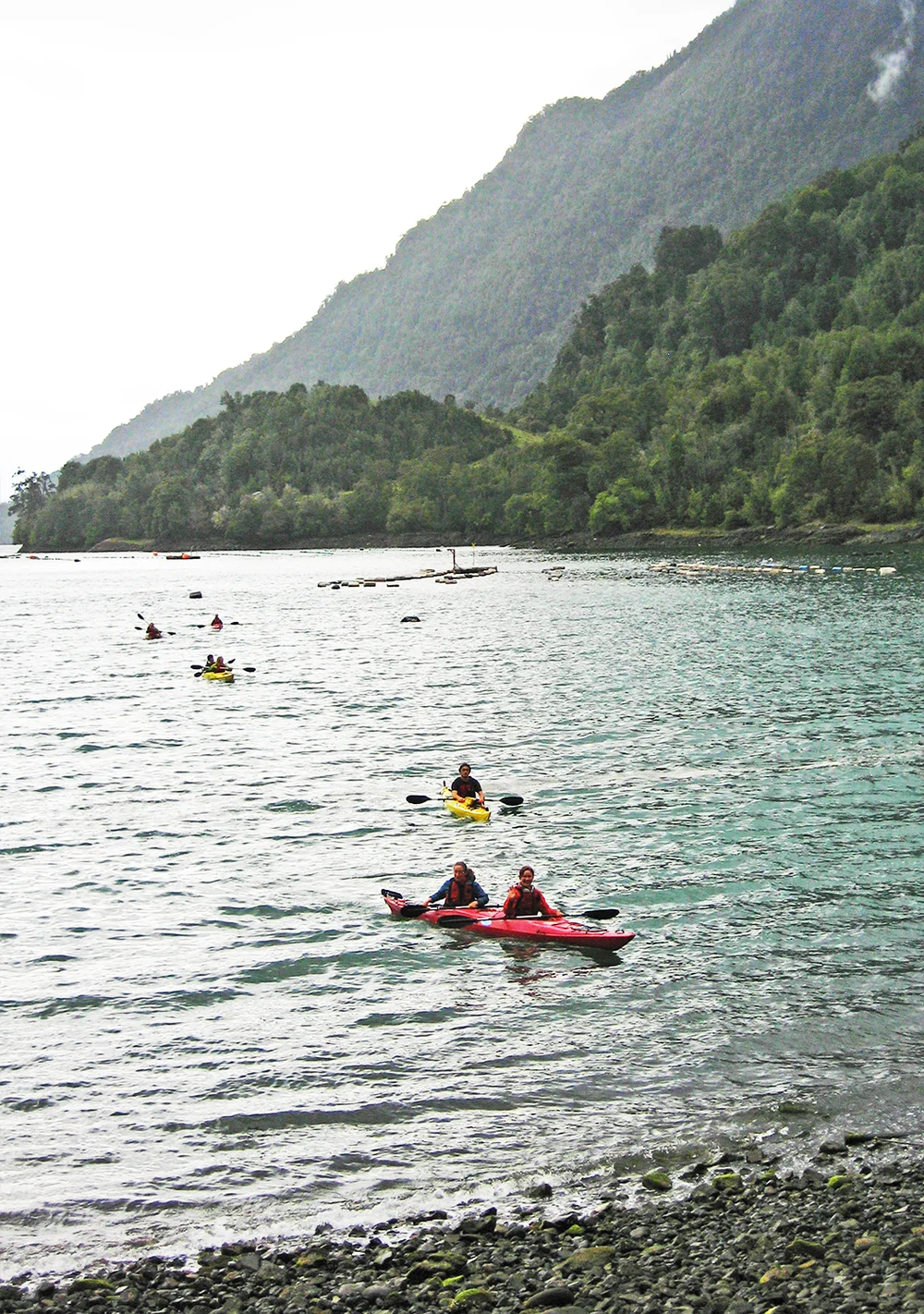 Chile Field Studies: Patagonia Ecosystems — Wildlands Studies | Field ...