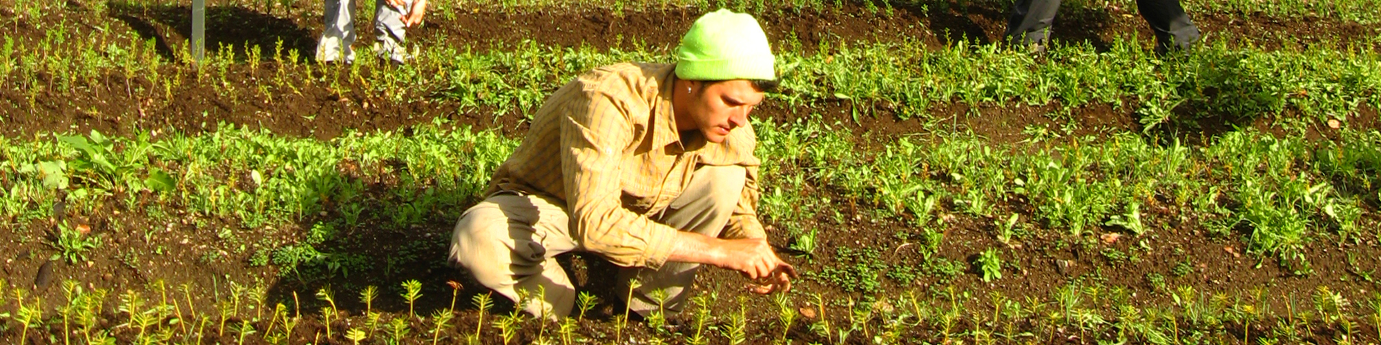 Chile Field Studies: More Details — Wildlands Studies | Field Studies ...