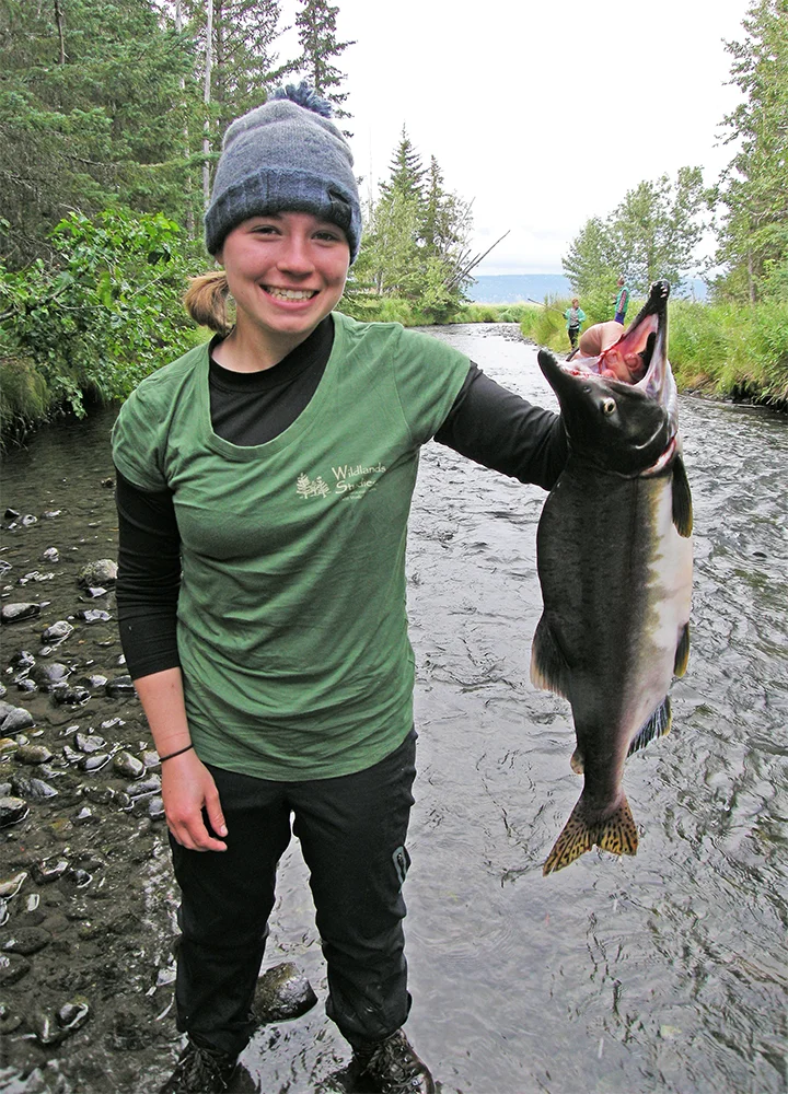 Alaska — Wildlands Studies