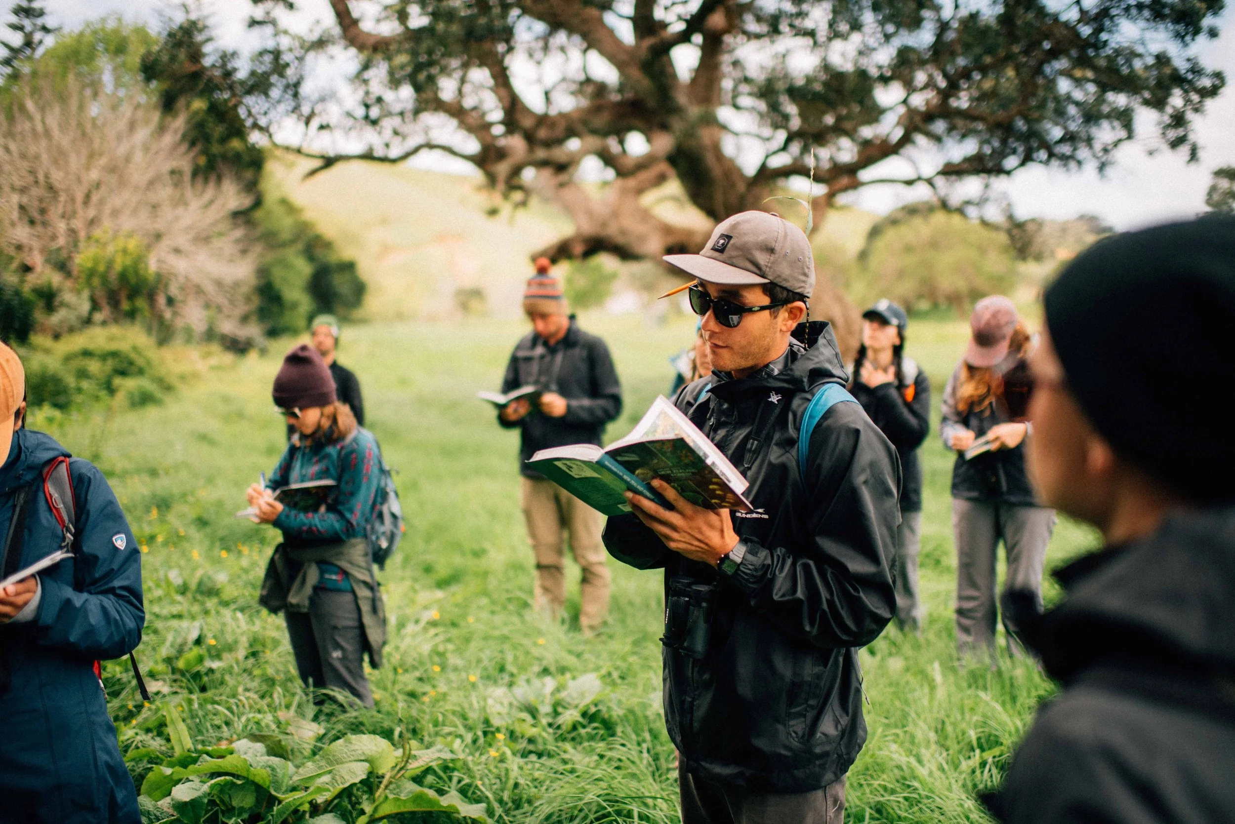 New Zealand — Wildlands Studies | Field Studies Programs
