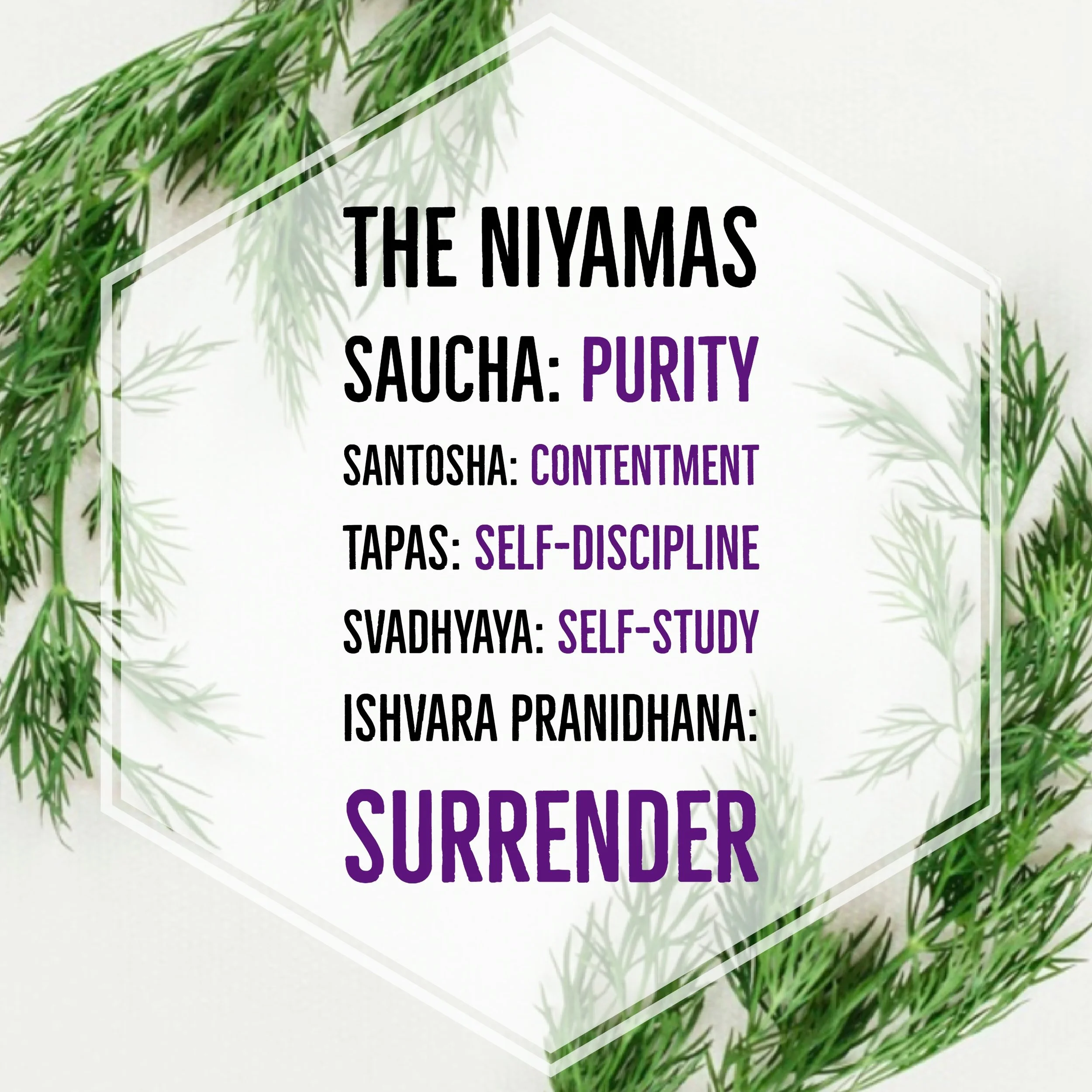 Saucha Yoga