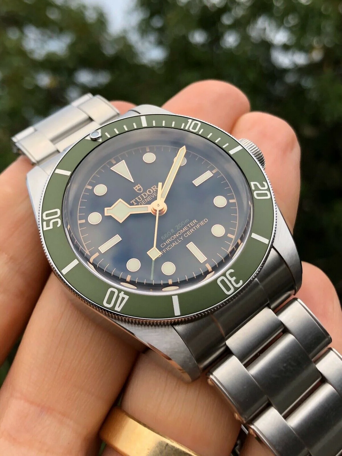 Tudor Black Bay Black Bay Harrods 79230G - 2018 — WATCH VAULT