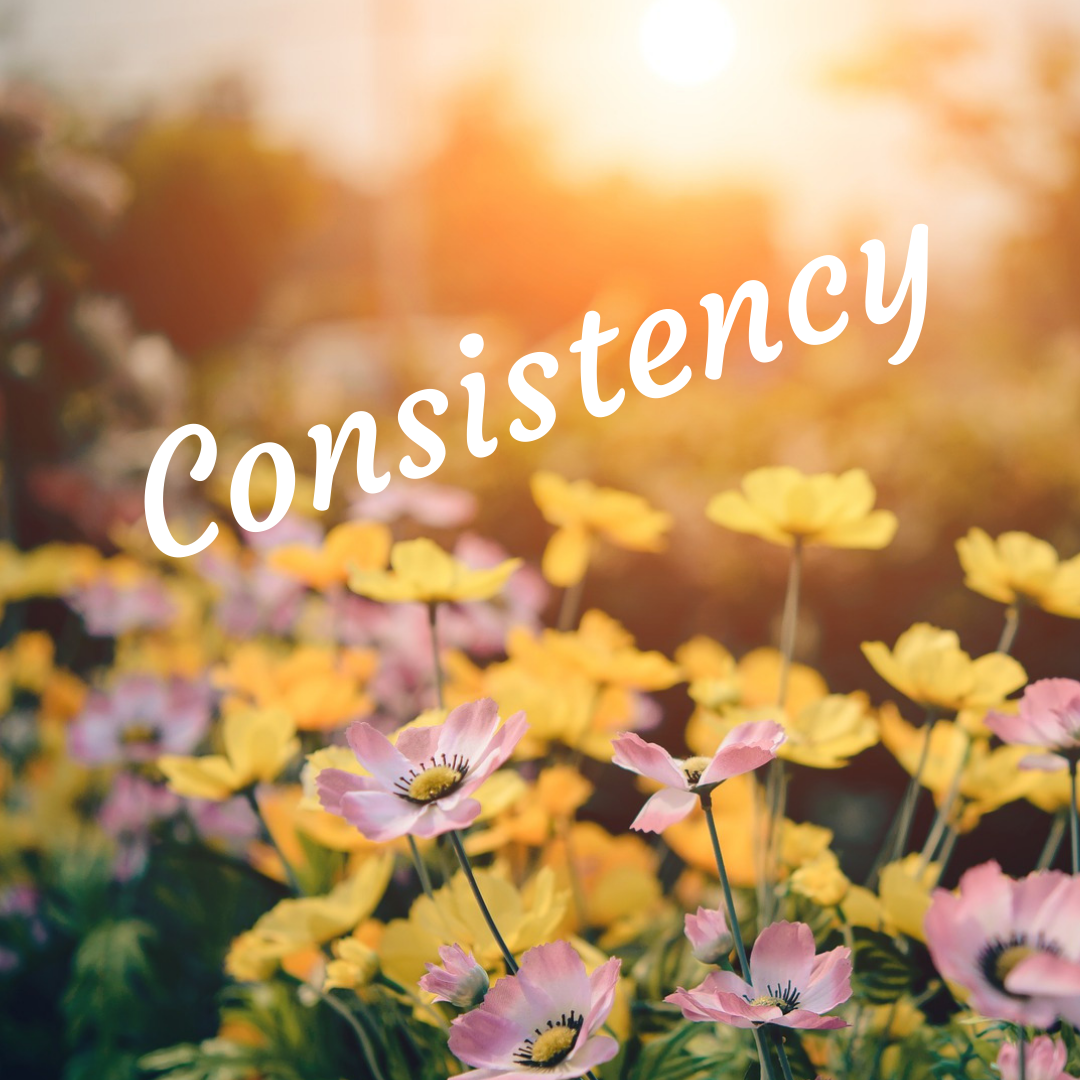 Consistency is THE key to marketing your products or services — Tiffani ...