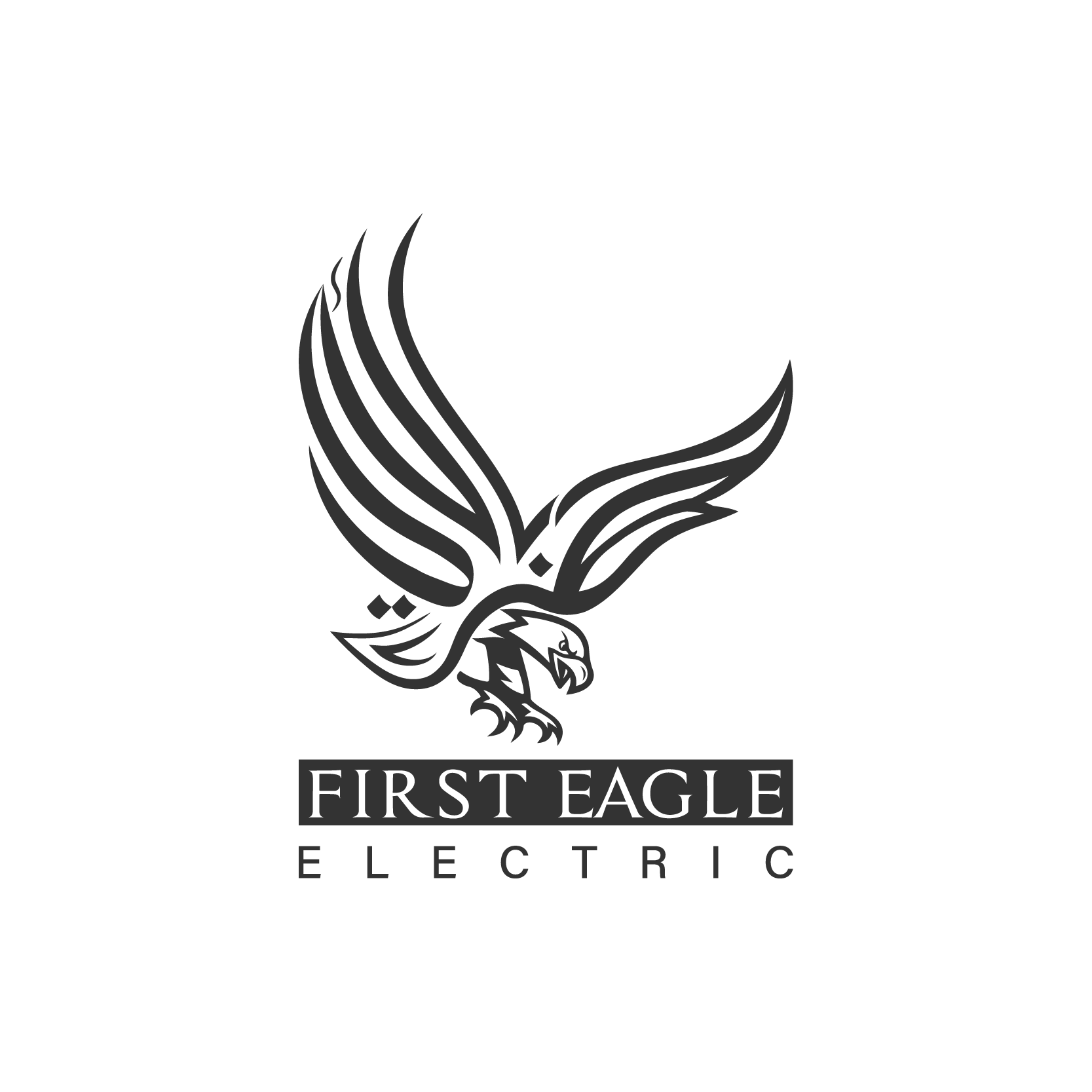 FIRST EAGLE ELECTRIC . INC.
