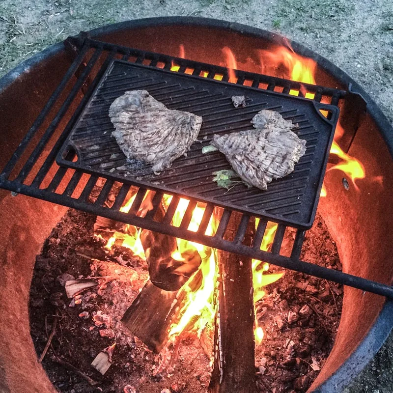 Lake Piru Campground and Recreation Area Review | The Wild Initiative