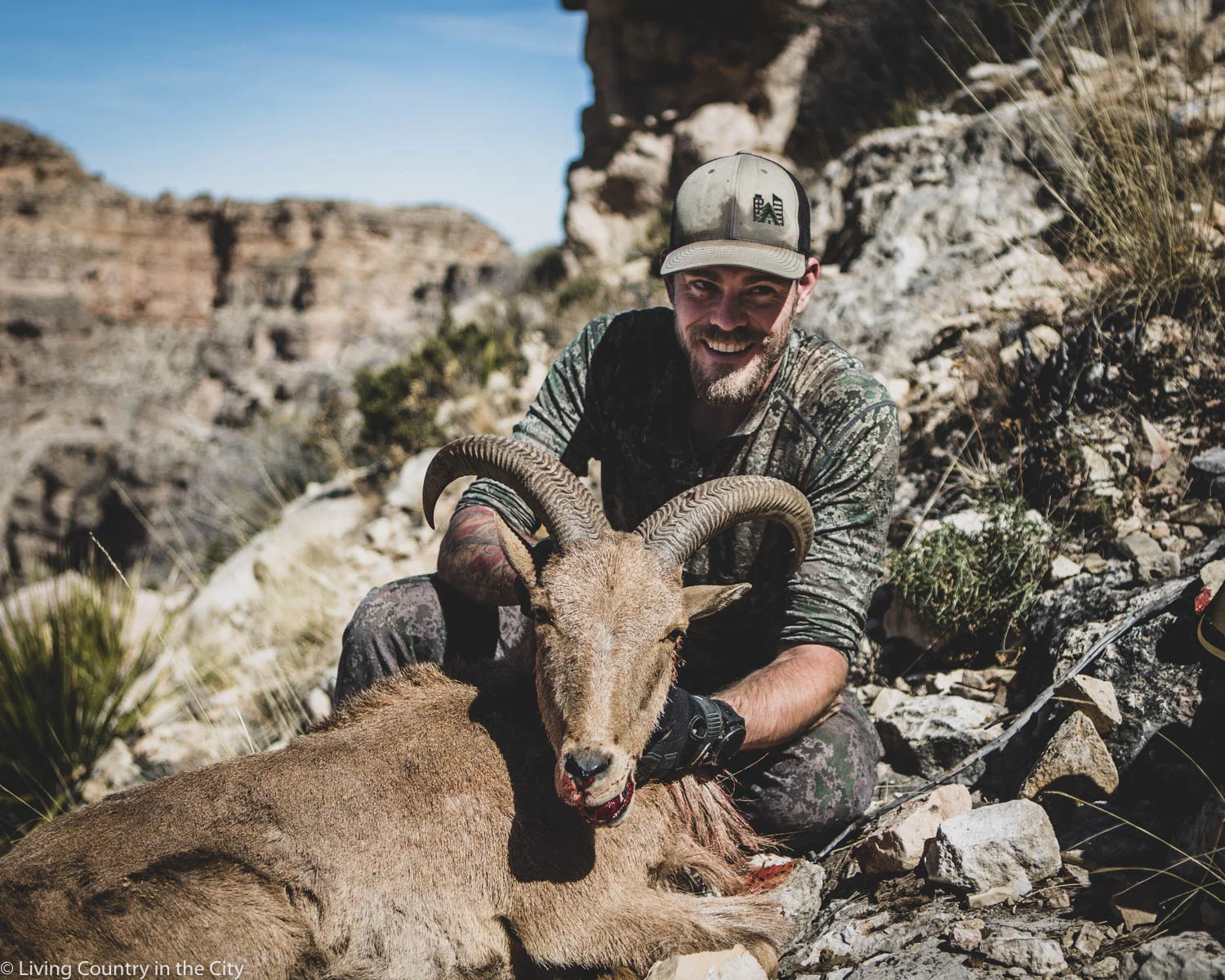 New Mexico Public Land Aoudad Hunt | The Wild Initiative