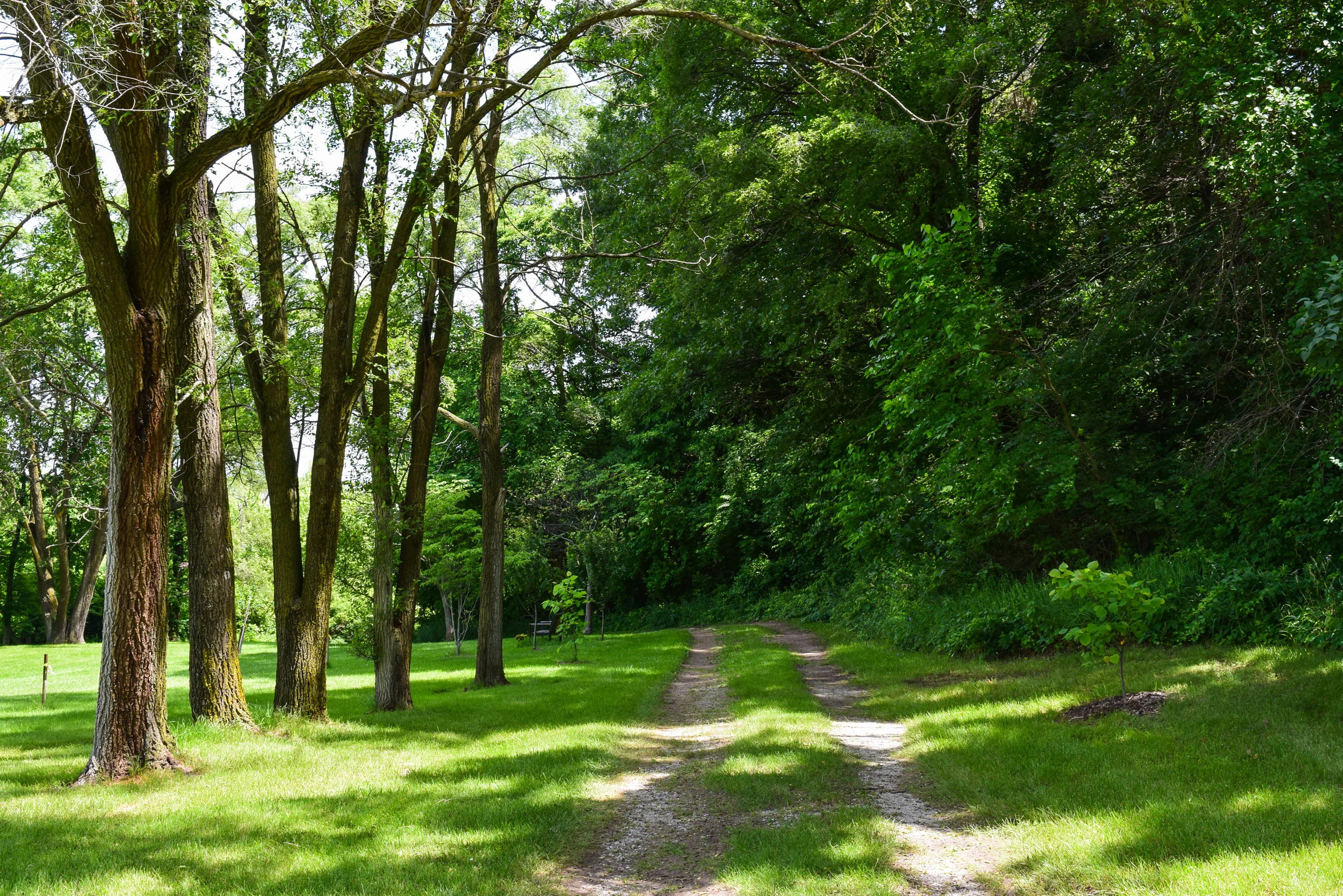 Athletic Programs — Porter County Parks and Recreation