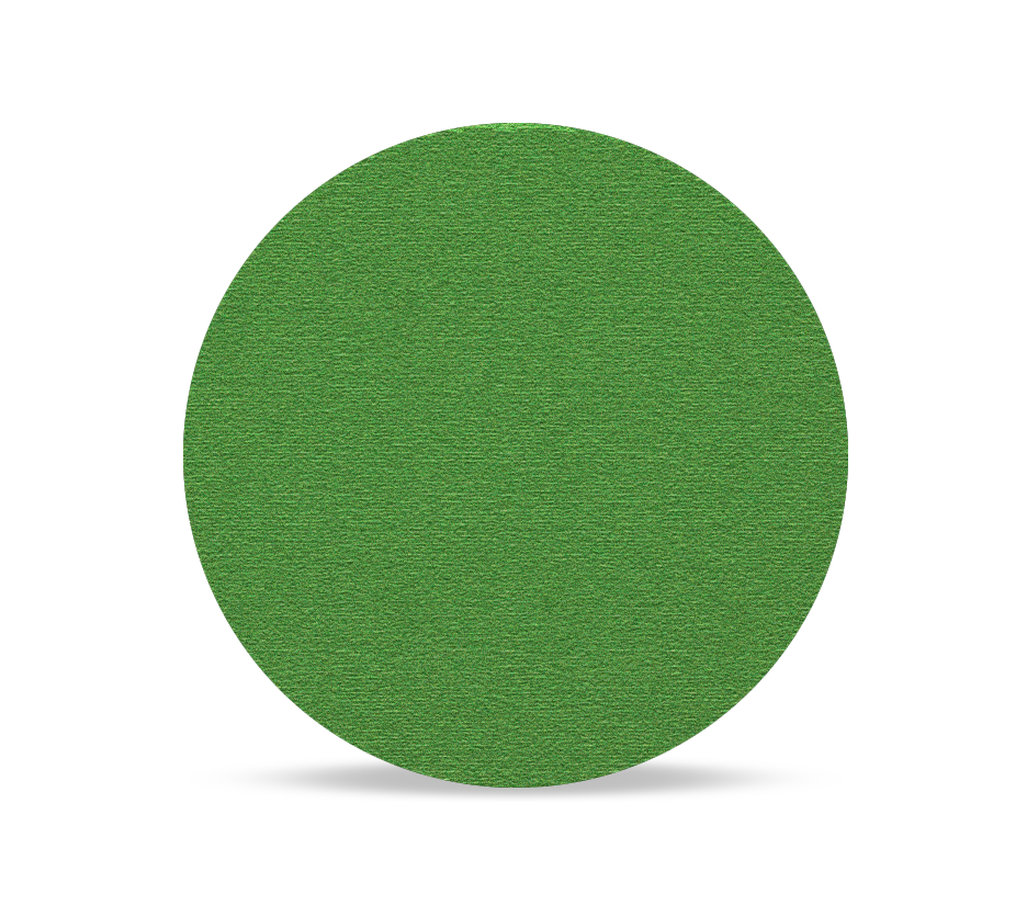 Green Ice Velcro Disc 6" — Carworx